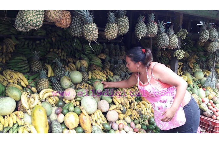 Productores y vendedores de fruta muy optimistas con invierno