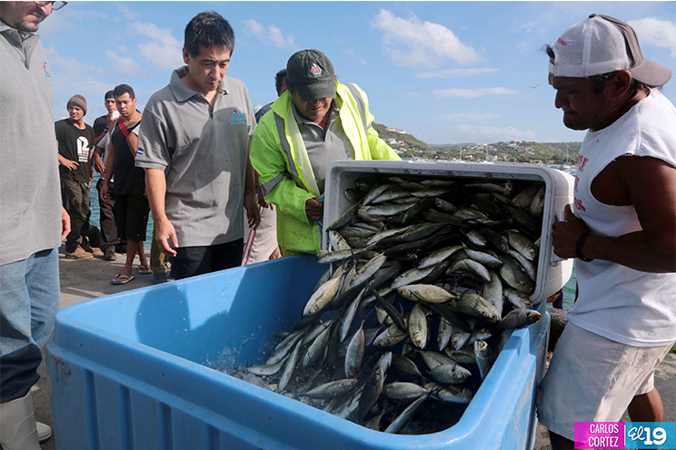 Inpesca realiza estudio de recursos pesqueros