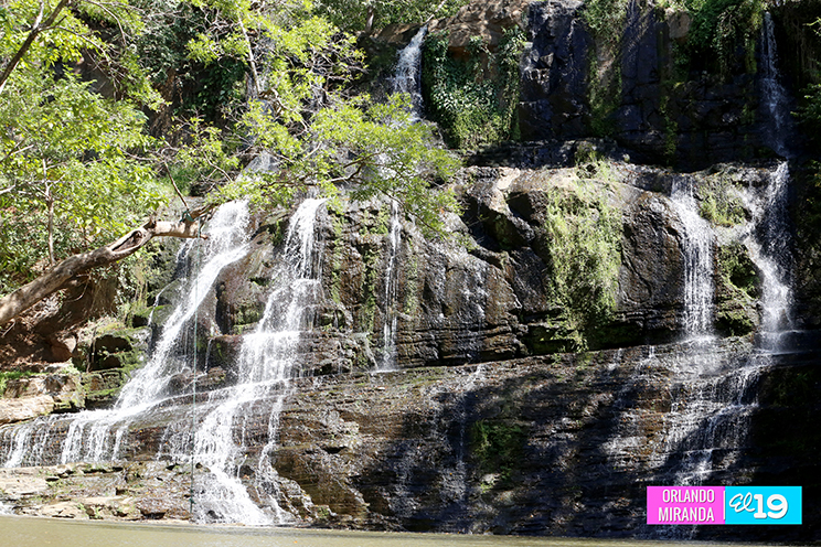 El pulmón que da vida a Carazo