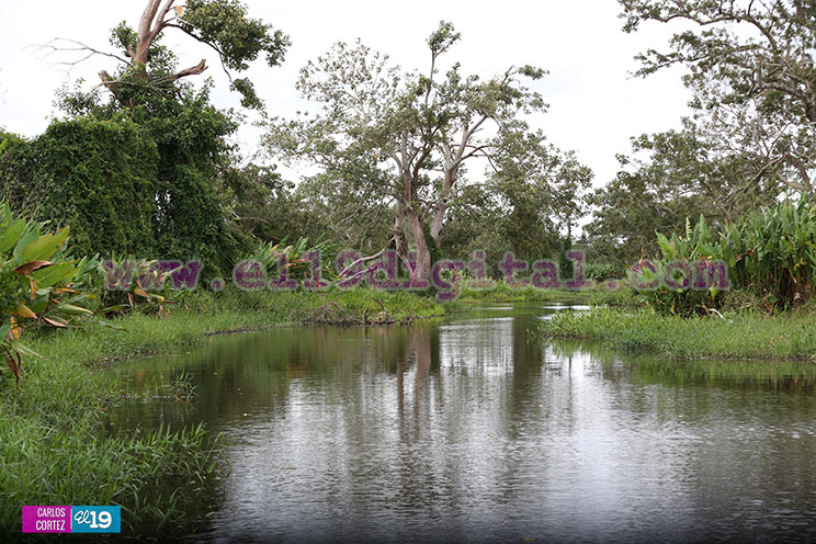 "Los Guatuzos" o el Paraíso Soñado