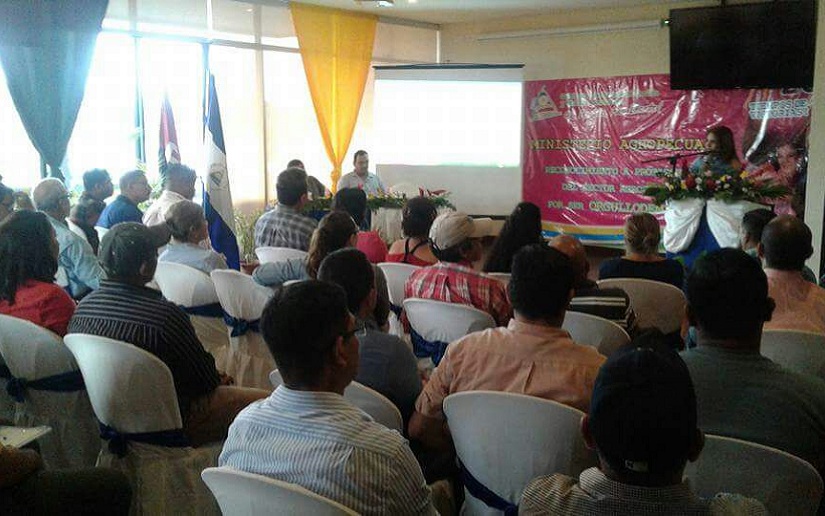 MAG y UNAN León certifican diplomado de producción animal