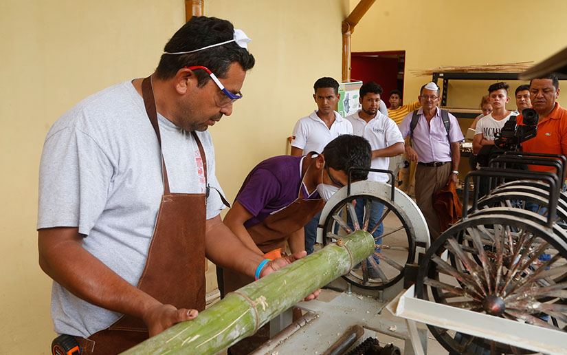 Inicia primer curso básico para el procesamiento del bambú