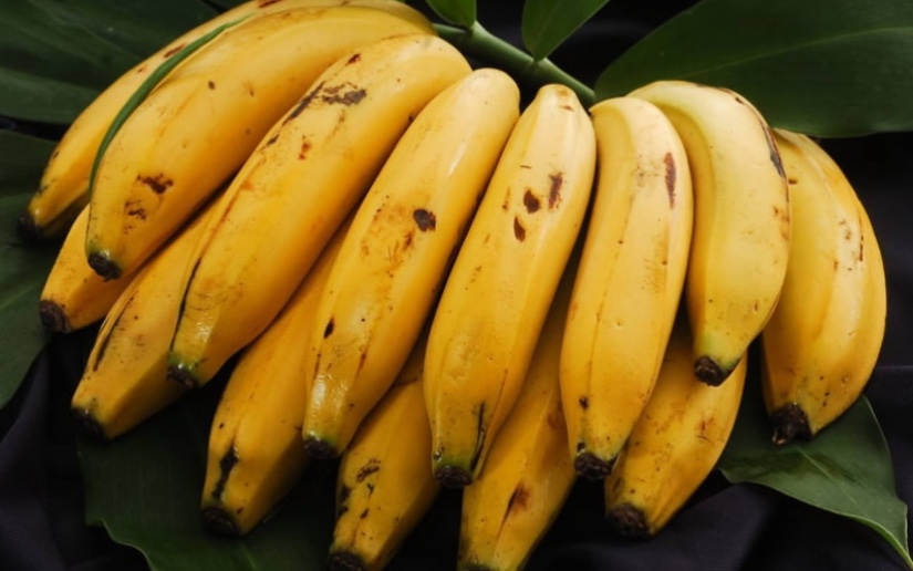 Exportación de banano crece 14%