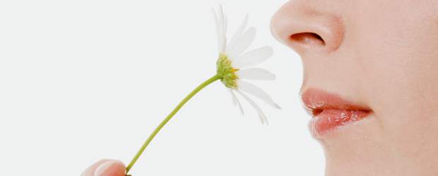 El olfato reconoce diez categorías de olores