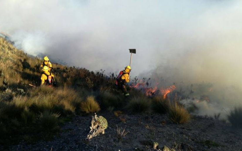 Combaten incendio forestal al sur de capital de Ecuador