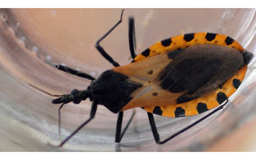 Nicaragua será sede de la reunión centroamericana para el control y la ...