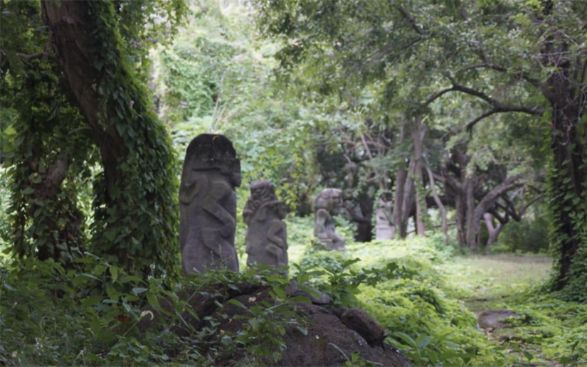 En imágenes: conozca los santuarios de la Isla del Muerto y Sonzapote ...