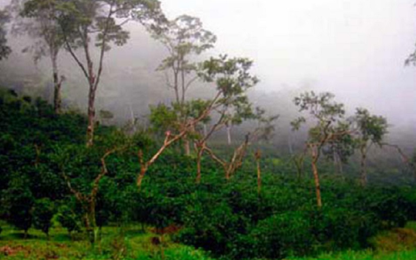 Fortalecerán paisajes y ecosistemas de la Reserva Bosawás ante el ...