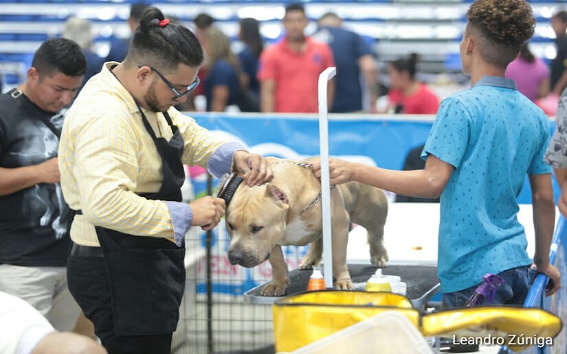 Bully Manía III logra cautivar al público nicaragüense