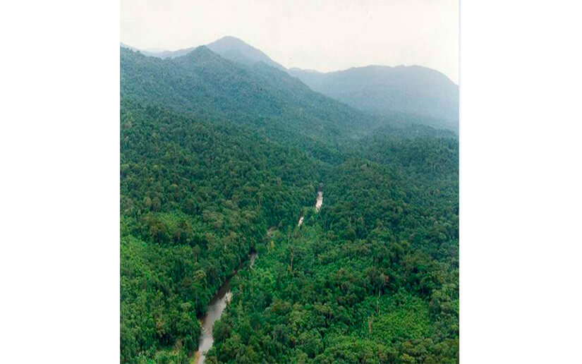 Sauda: ceremonia–ritual, identidad y la cosmogonía de la nación Mayangna