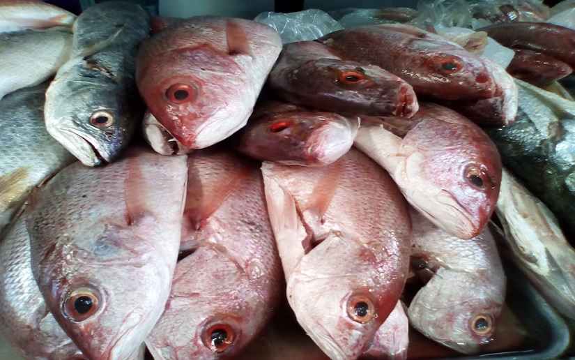 Estos son los precios de los productos pesqueros en los mercados de ...