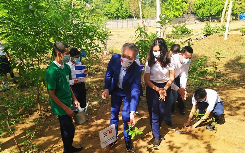 Taiwán en jornada de siembra de árboles de la amistad