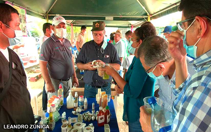 Inta lanza plan de promoción del uso del marango en Nagarote