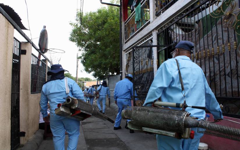 En el barrio Bóer Minsa intensifica la lucha contra los zancudos