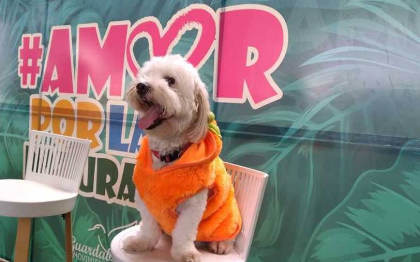 Anuncian Primera Edición de la Expo Feria de las Mascotas 2021