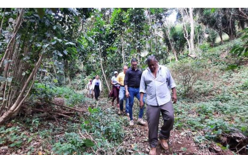 MEFCCA: Fincas agroecológicas mejoran condiciones económicas de las ...