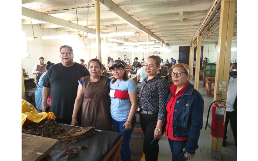 Viceministro del Trabajo visita empresas tabacaleras Protasa, Placencia ...