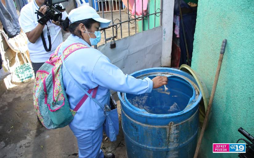 Minsa aplica BTI en Lomas de San Judas para evitar criaderos de zancudos