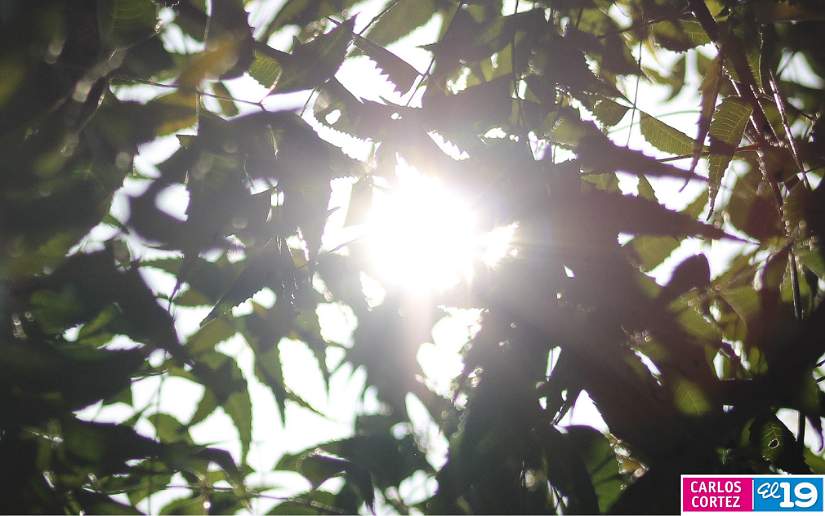 Ambientes soleados y temperaturas hasta de 37 grados para esta semana ...