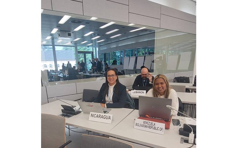 Delegación de Nicaragua participa en consulta global sobre cambio climático