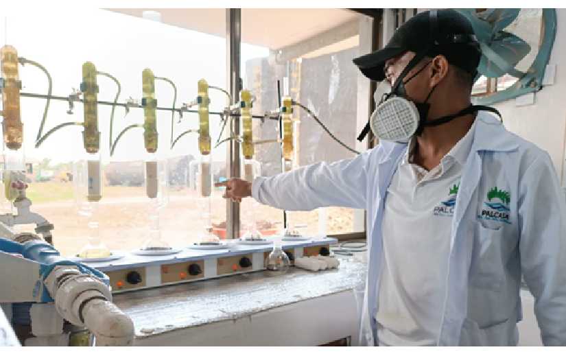 Sistema de Producción visita empresa productora de aceite de palma en ...