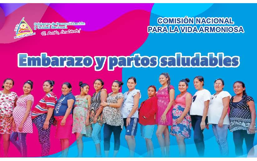 Conozca todo sobre la cartilla de "Embarazo y partos saludables"