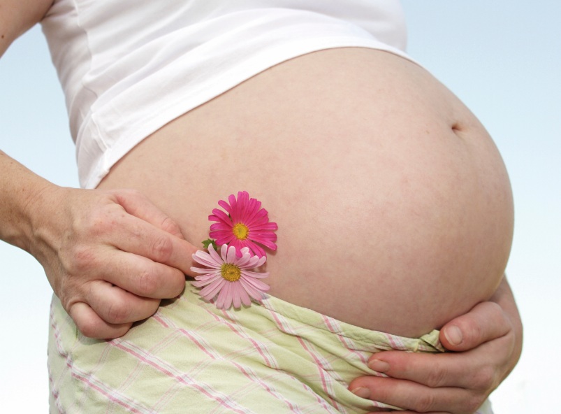 En busca de la Madre Panza