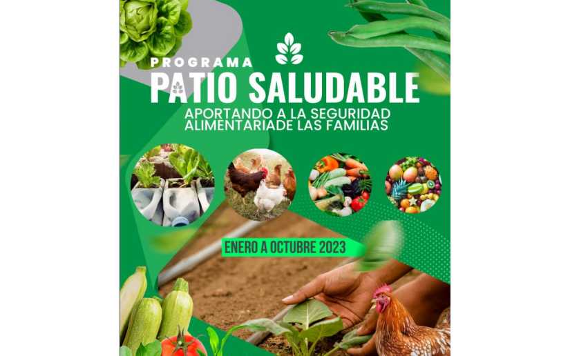 Conozca los avances del Programa Patio Saludable en Nicaragua