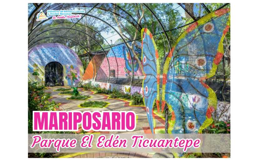 (+ Fotos): Visite el Mariposario Parque El Edén en Ticuantepe