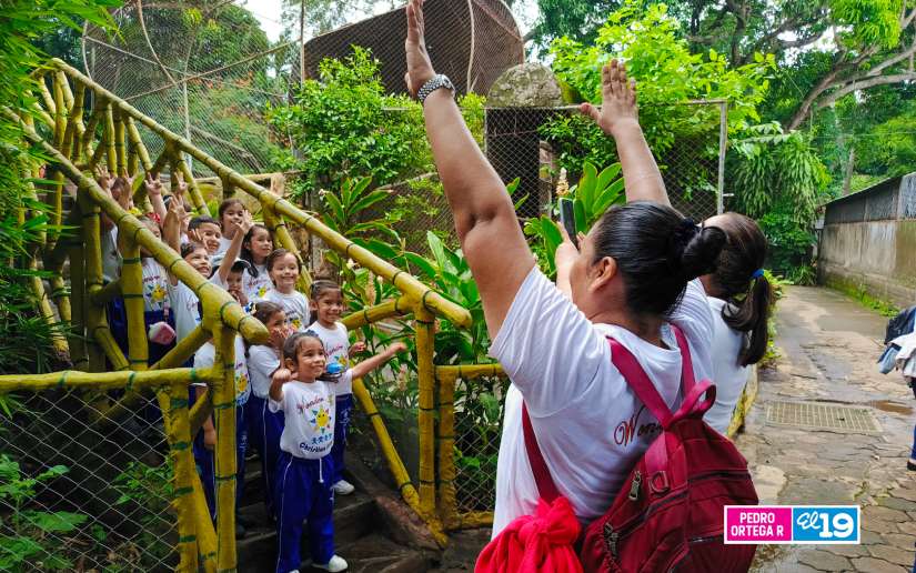 Programa Amor para los Más Chiquitos celebra mañana ambiental en el ...