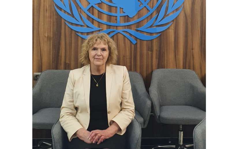 Declaración de la Señora Mary Lawlor, Relatora Especial de las Naciones ...