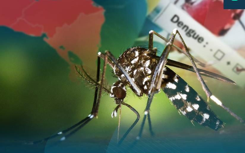 ¿Cómo ha intensificado Nicaragua la Campaña de Lucha contra el Dengue?