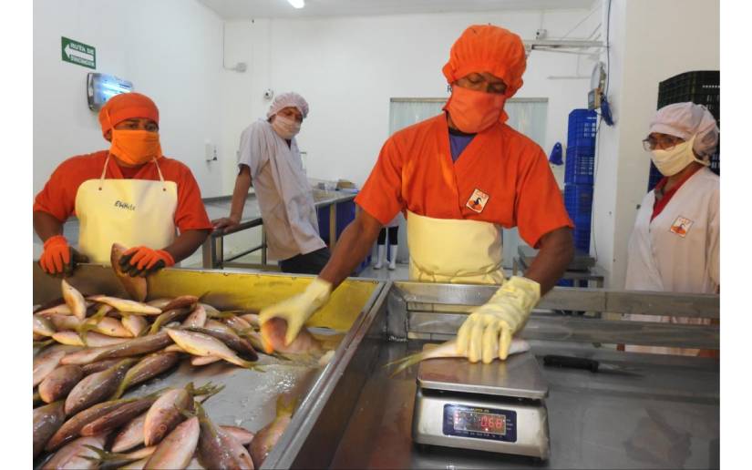 La Importancia De La Producción Pesquera – YLEAV