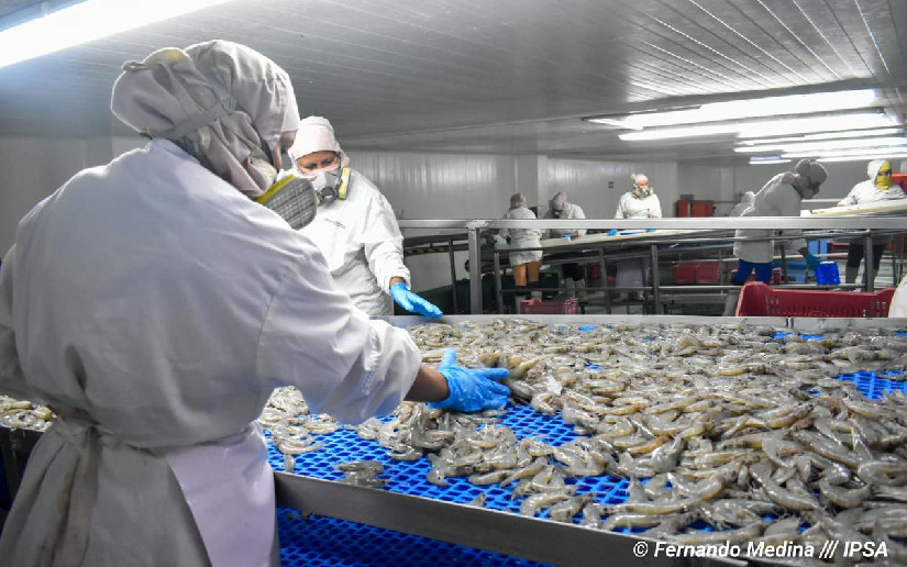 IPSA garantiza seguridad e inocuidad agroalimentaria en Nicaragua