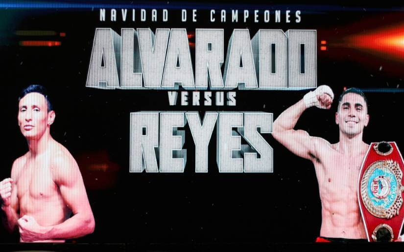 Todo listo para la cartelera de boxeo profesional "Navidad de Campeones" en Polideportivo Alexis ...