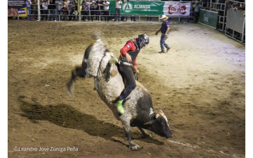 Éxito rotundo en la Feria Ganadera Estelí 2024: Un evento de rodeo ...