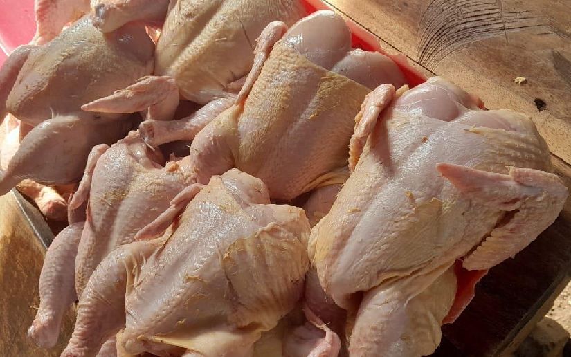Nicaragua registra producción nacional de carne de pollo de 396.4 ...