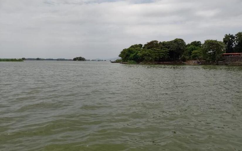 Marena da seguimiento a la coloración verdosa del Lago Cocibolca