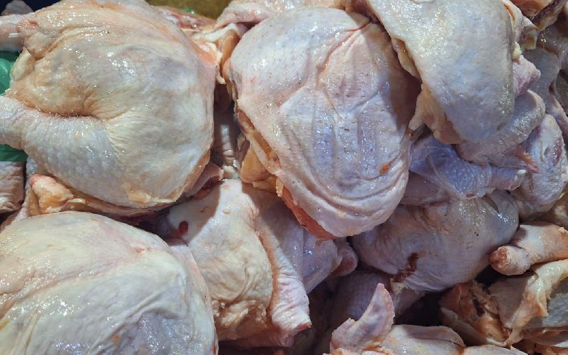 Producción nacional de carne de pollo alcanza las 107 millones de ...