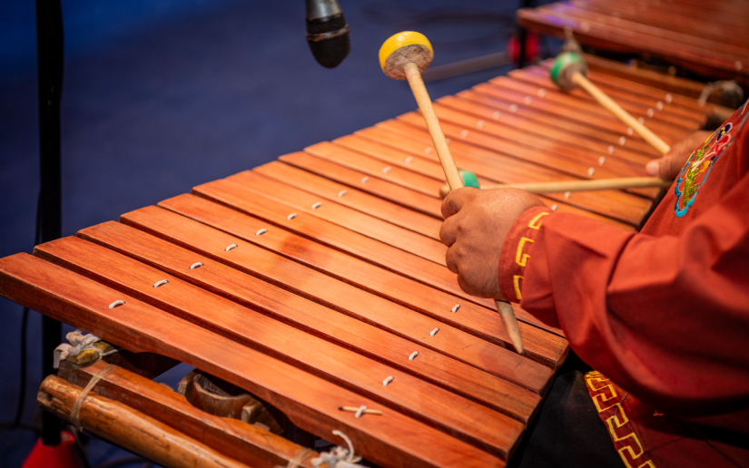 La marimba, instrumento afromestizo en la Educación Artística y ...