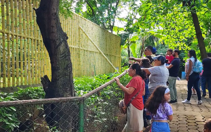Parque Zoológico Nacional se consolida como uno de los destinos ...