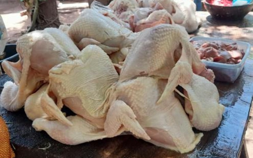 Reportan 358 millones de libras de carne de pollo al mercado nacional ...