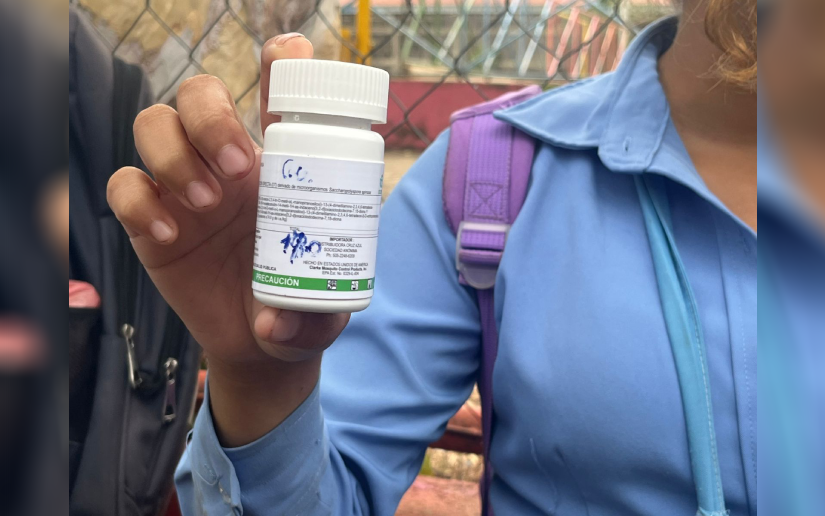 Natular y fumigación: la combinación eficaz para matar al zancudo