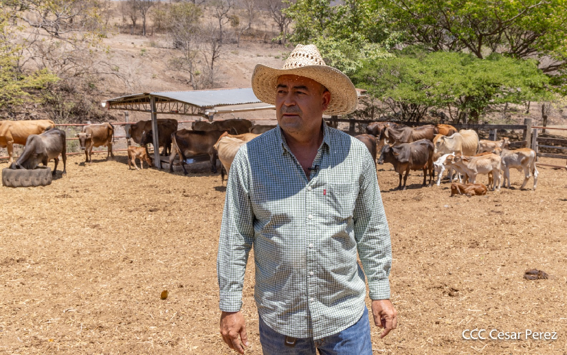 Juan Rizo Jarquín, el productor que con esfuerzo y dedicación está ...