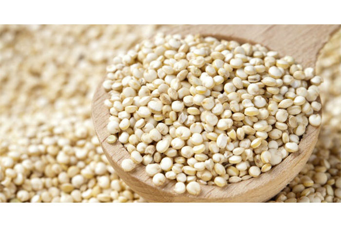 Gobierno promueve cultivo de amaranto en nuestro país