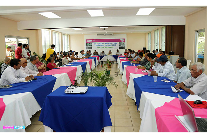 Intercambian experiencias en producción y cultivo de marango