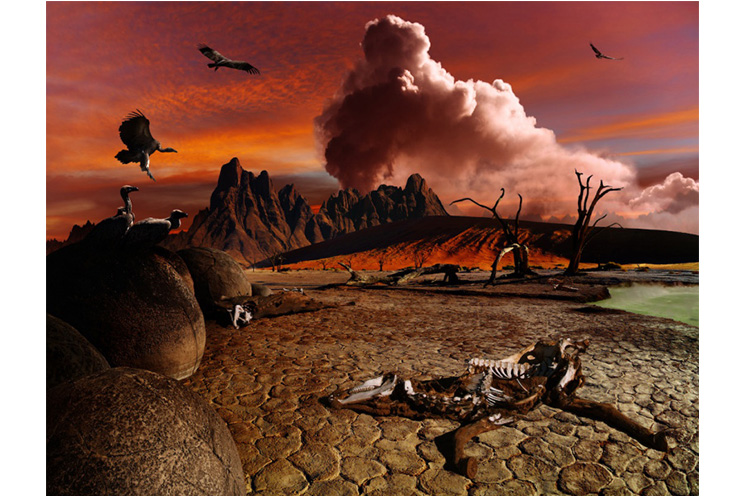 “Ya no hay duda, estamos entrando en una extinción masiva"