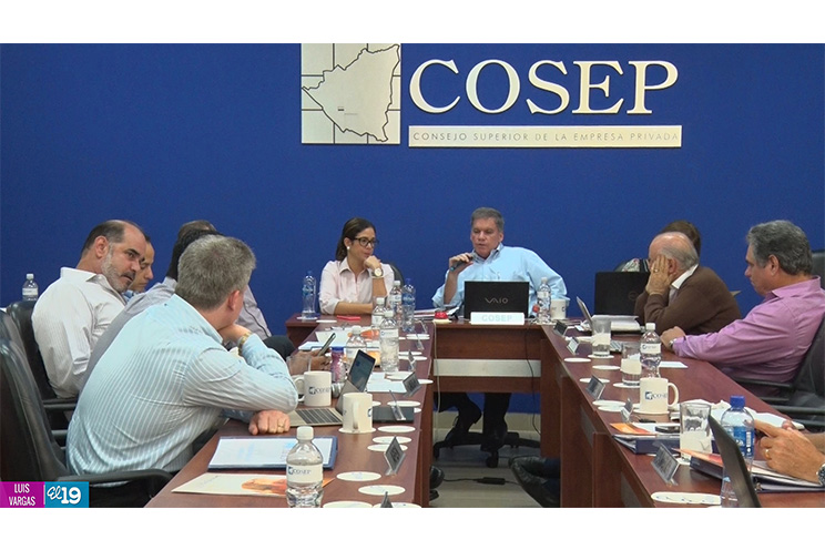 COSEP: Ciclo Agrícola se desarrolla con normalidad