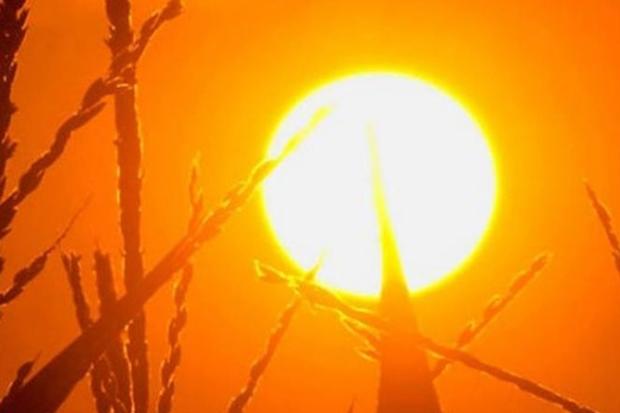 ONU: 2015 podría ser el más caluroso desde que hay registros