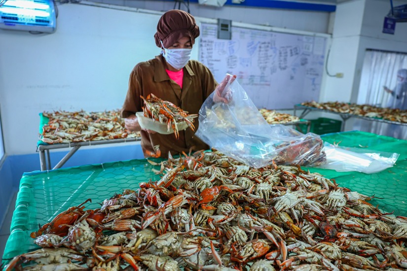 Conoce la variedad de destinos y riquezas de Bluefields